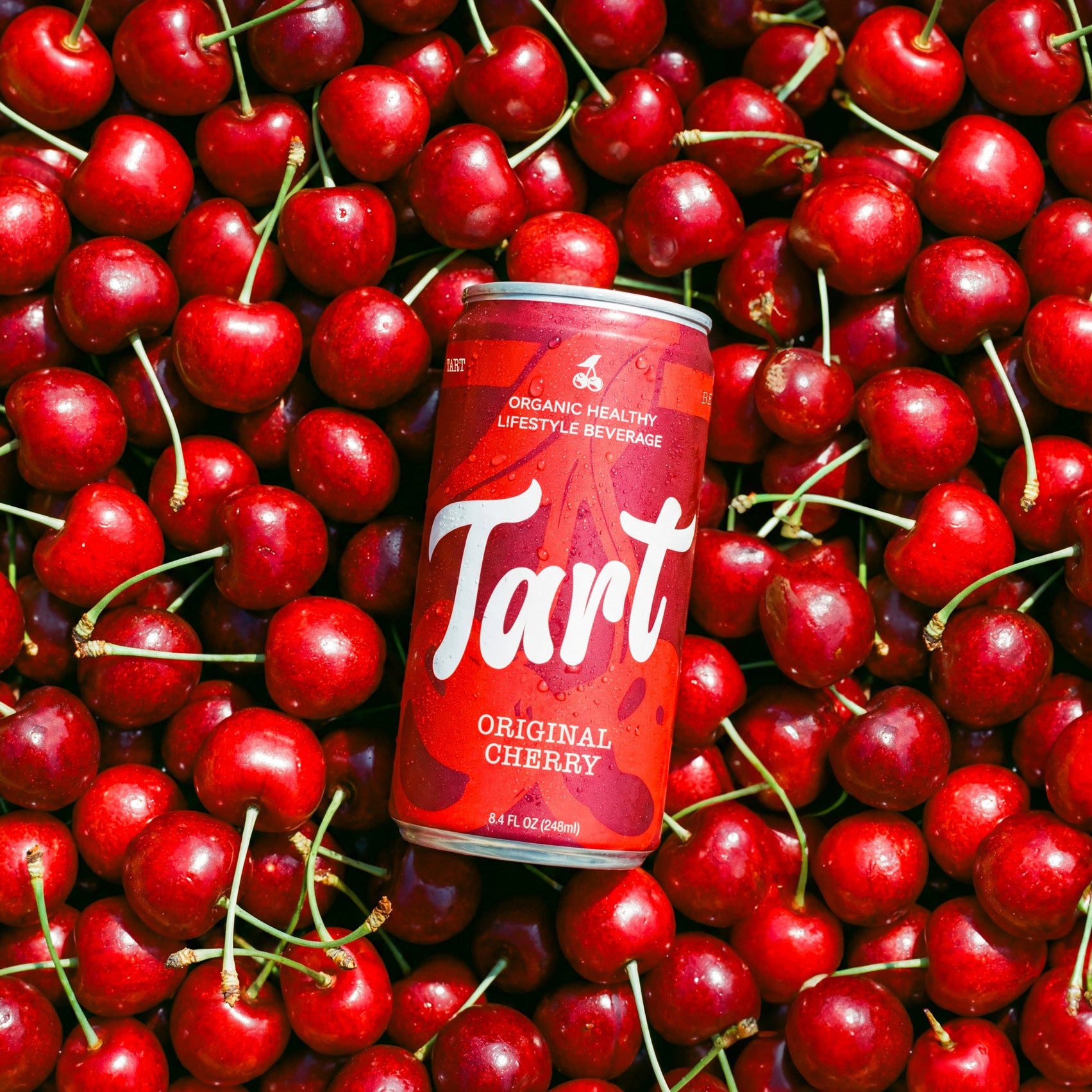 Original Cherry – Tart